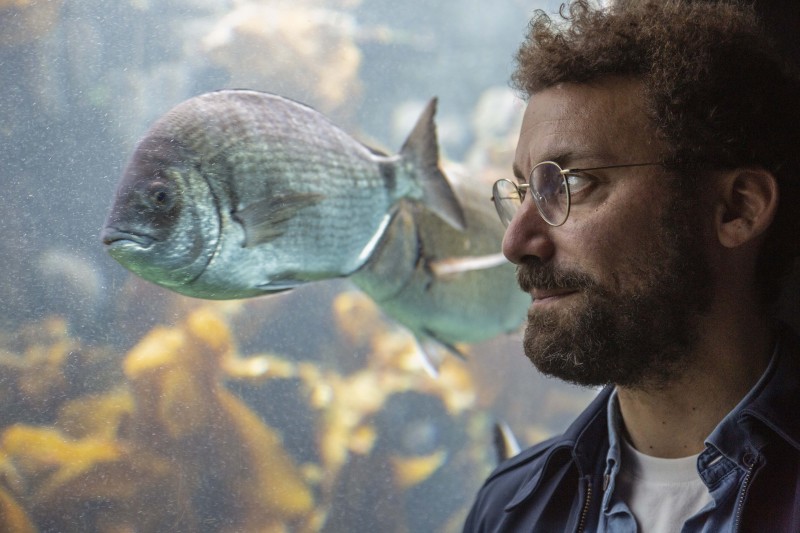 Mascaret Production | David Wahl